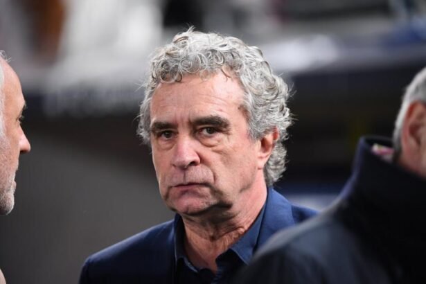 Dominique Rocheteau - Biographie complète, carrière, vie privée et ...